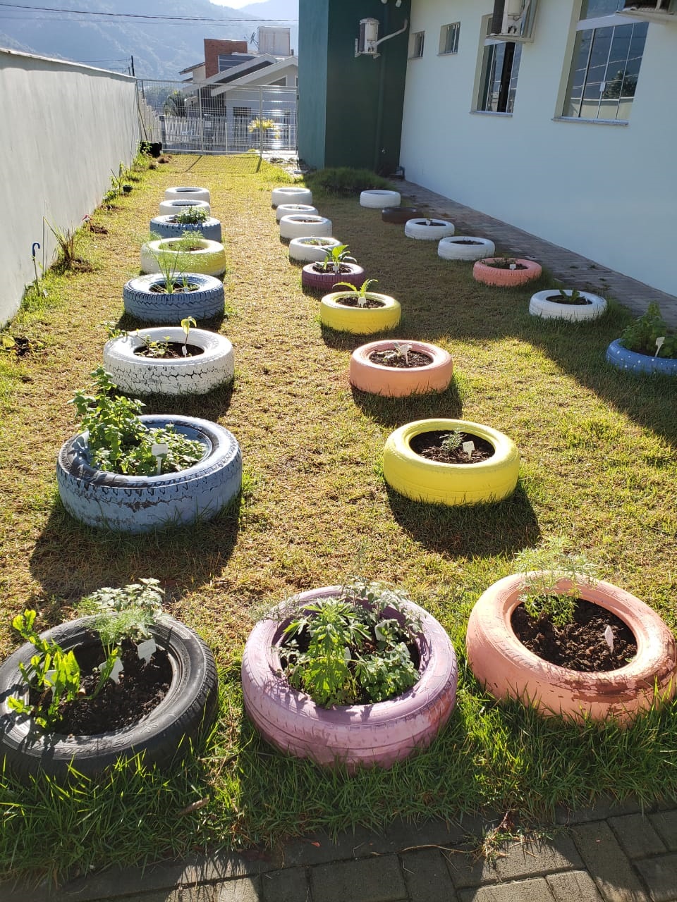 Hortas medicinais implantadas em unidades básicas de saúde